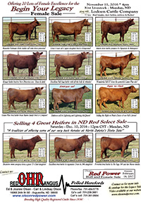 Olson Hereford Ranch & OHR Red Angus