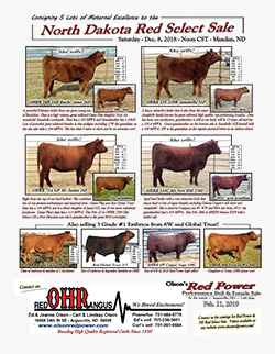 Olson Hereford Ranch & OHR Red Angus