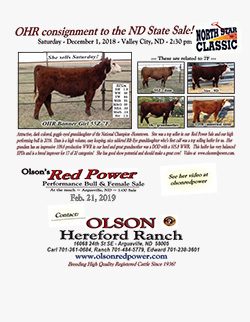 Olson Hereford Ranch & OHR Red Angus