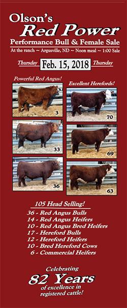 Olson Hereford Ranch & OHR Red Angus