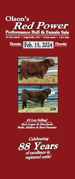 Olson Hereford Ranch & OHR Red Angus