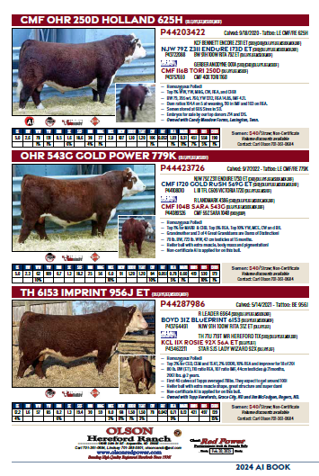 Olson Hereford Ranch & OHR Red Angus